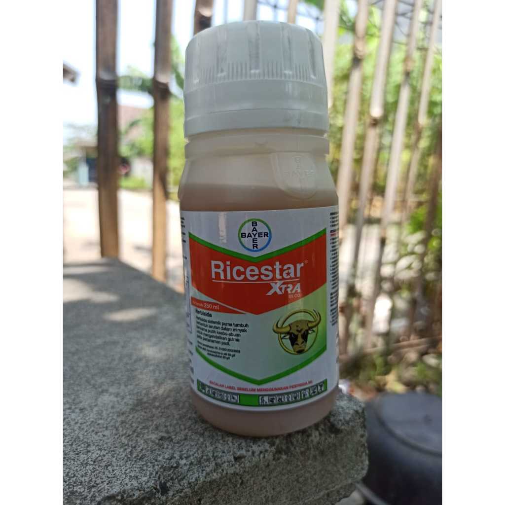 Jual Herbisida Ricestar Xtra 89OD 250ml Mengendalikan Gulma Pada Padi ...