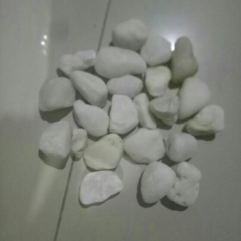 Jual Batu koral putih biasa hiasan Akuarium taman pot bunga makam ...