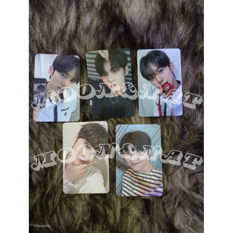 Jual photocard zb1 yujin gunwook gyuvin official | Shopee Indonesia