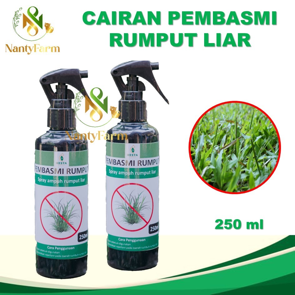 Jual Cairan Pembasmi Rumput Liar 250ml Pembasmi Rumput Sampai Akar ...