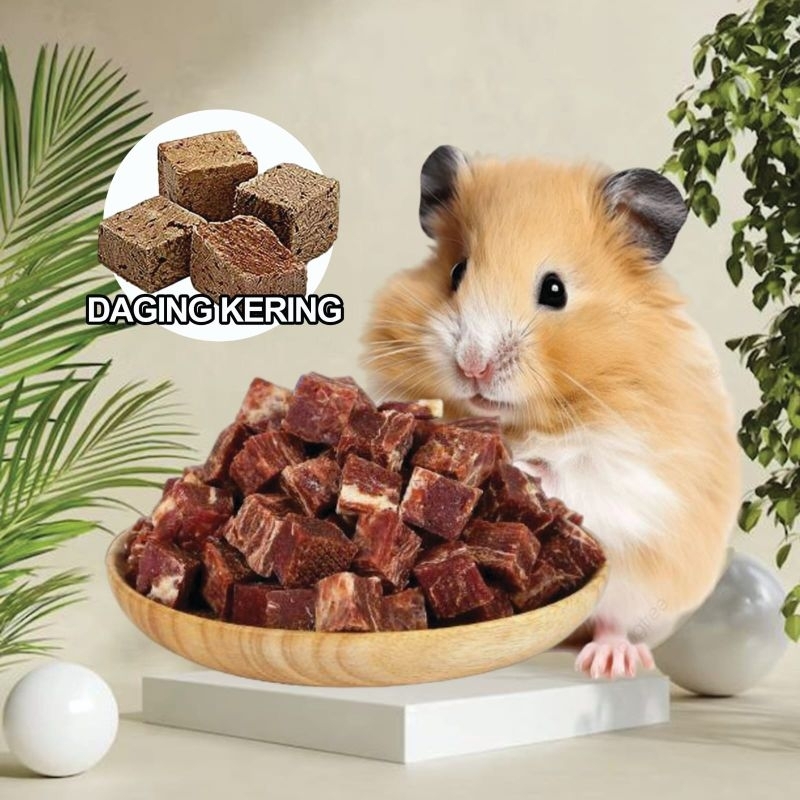 Jual MEAT CUBE - Makanan Hamster Camilan Hamster Snack Hamster Rasa ...