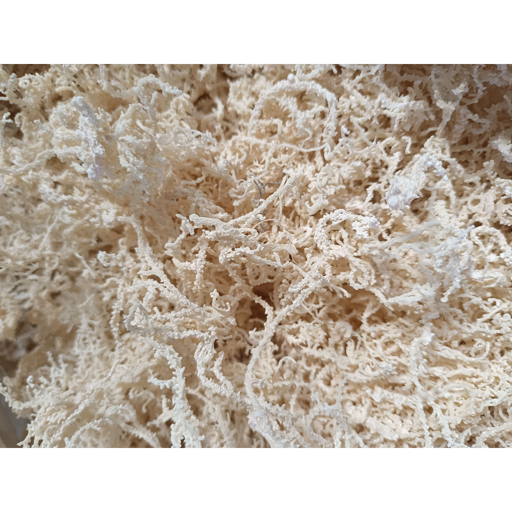 Jual Rumput Laut Kering Kawat 1Kg (100℅ original) | Shopee Indonesia