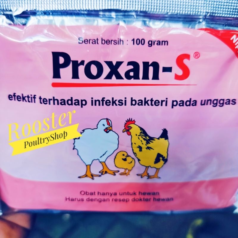 Jual Medion Proxan-S Obat Infeksi Bakteri Pada Unggas Ayam Bebek itik ...