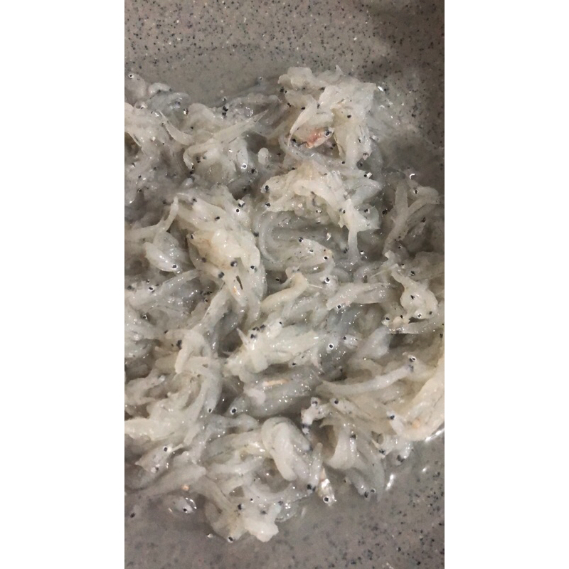 Jual ikan teri basah mpasi | Shopee Indonesia