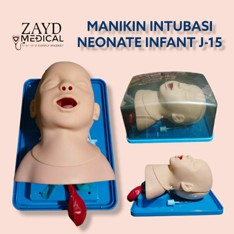 Jual phantom Manikin/ Manekin intubasi Airway anak/ trachea neonatal ...