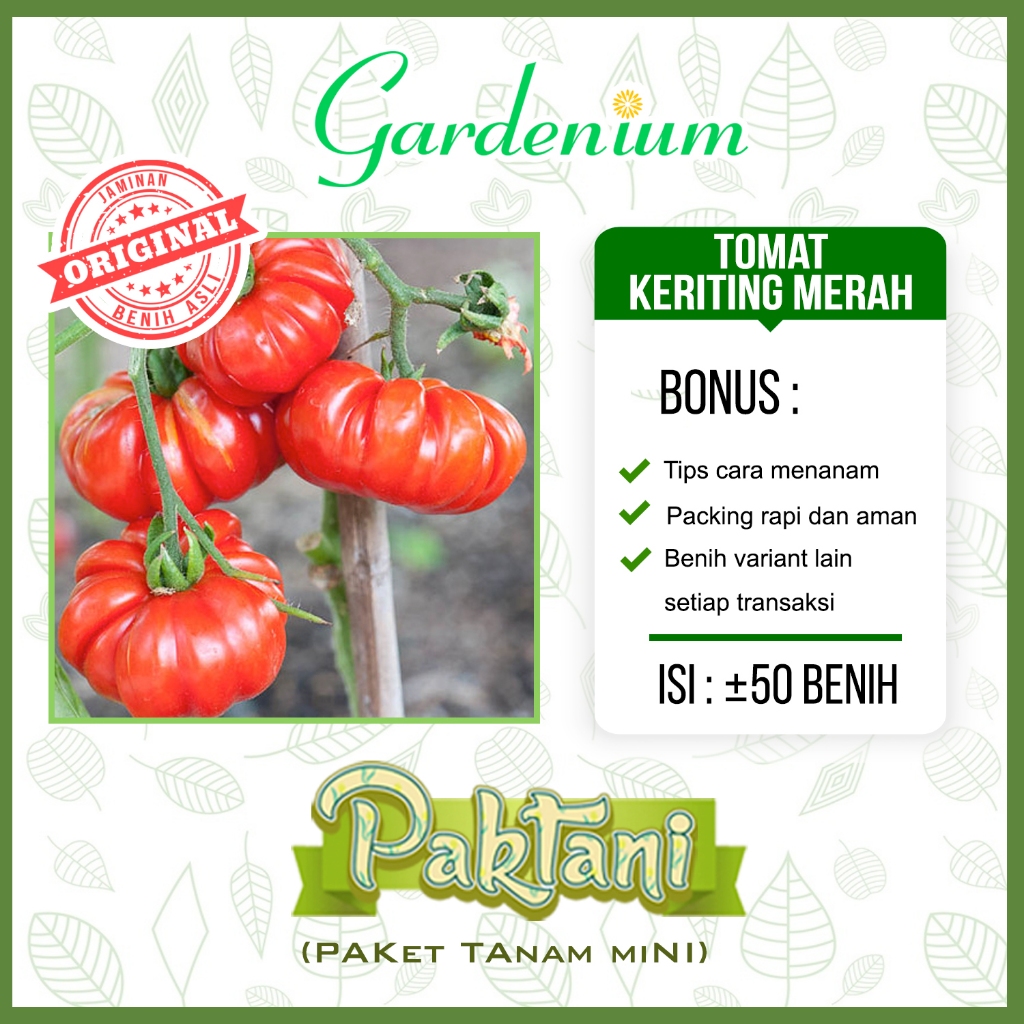 Jual 50 Benih Tomat Keriting Mawar Merah Paktani | Shopee Indonesia