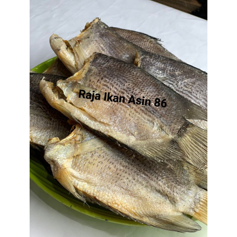 Jual Ikan Asin Biawan / Tembakang Super Kering | Shopee Indonesia