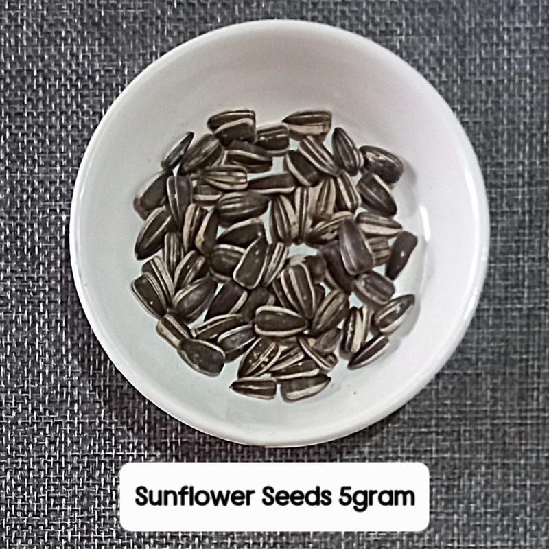 Jual Makanan Hamster Kuaci Sunflower Seeds 5gram | Shopee Indonesia