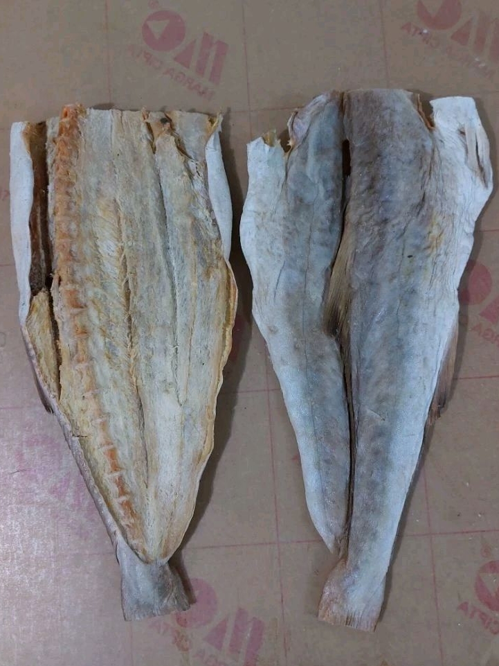 Jual Ikan asin gabus laut 500g-1kg | Shopee Indonesia