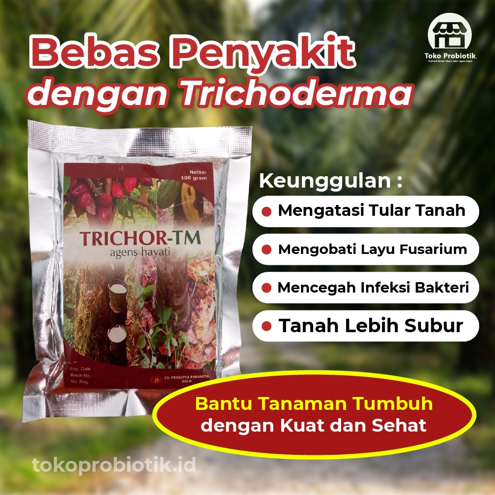 Jual Agens Hayati Trichoderma untuk Mengatasi Infeksi Busuk Batang dan ...