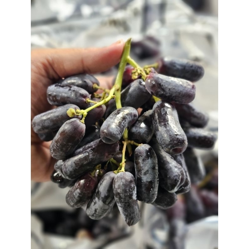 Jual buah anggur moondrop seedles 1pack / buah anggur jari seedles 1 ...