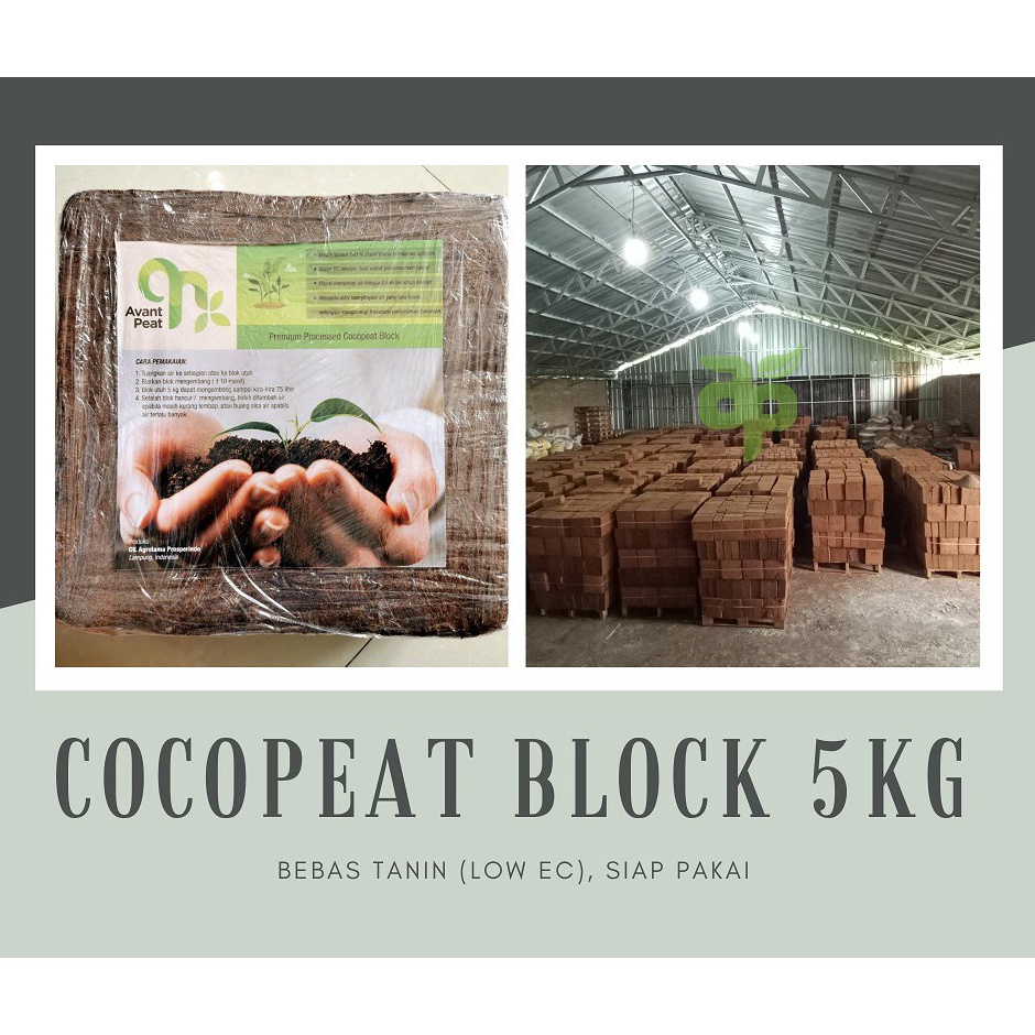 Jual Potongan spesial Cocopeat Block 5 KG Coco Peat Cocopit Cocovit ...