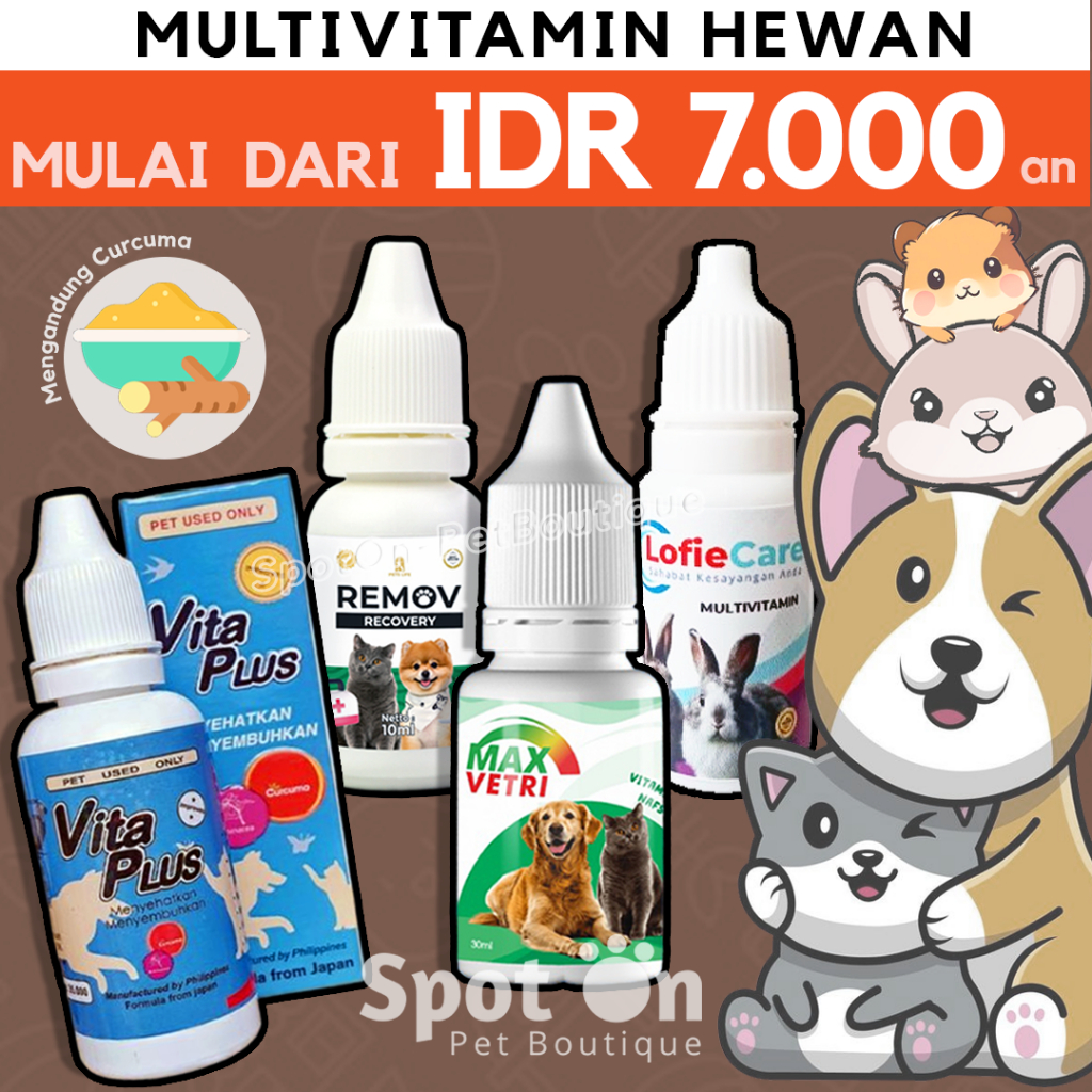 Jual Suplemen Peningkat Imun, Nafsu Makan, Pemulih Pasca Sakit Hewan ...