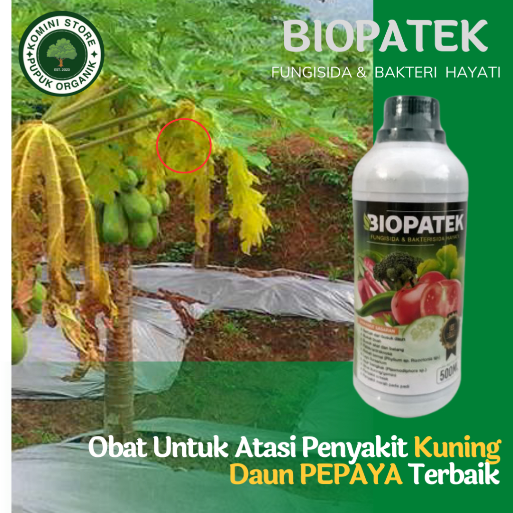 Jual Obat Fungisida Daun Kuning Pepaya Paling Ampuh Terbaik - BIOPATEK ...
