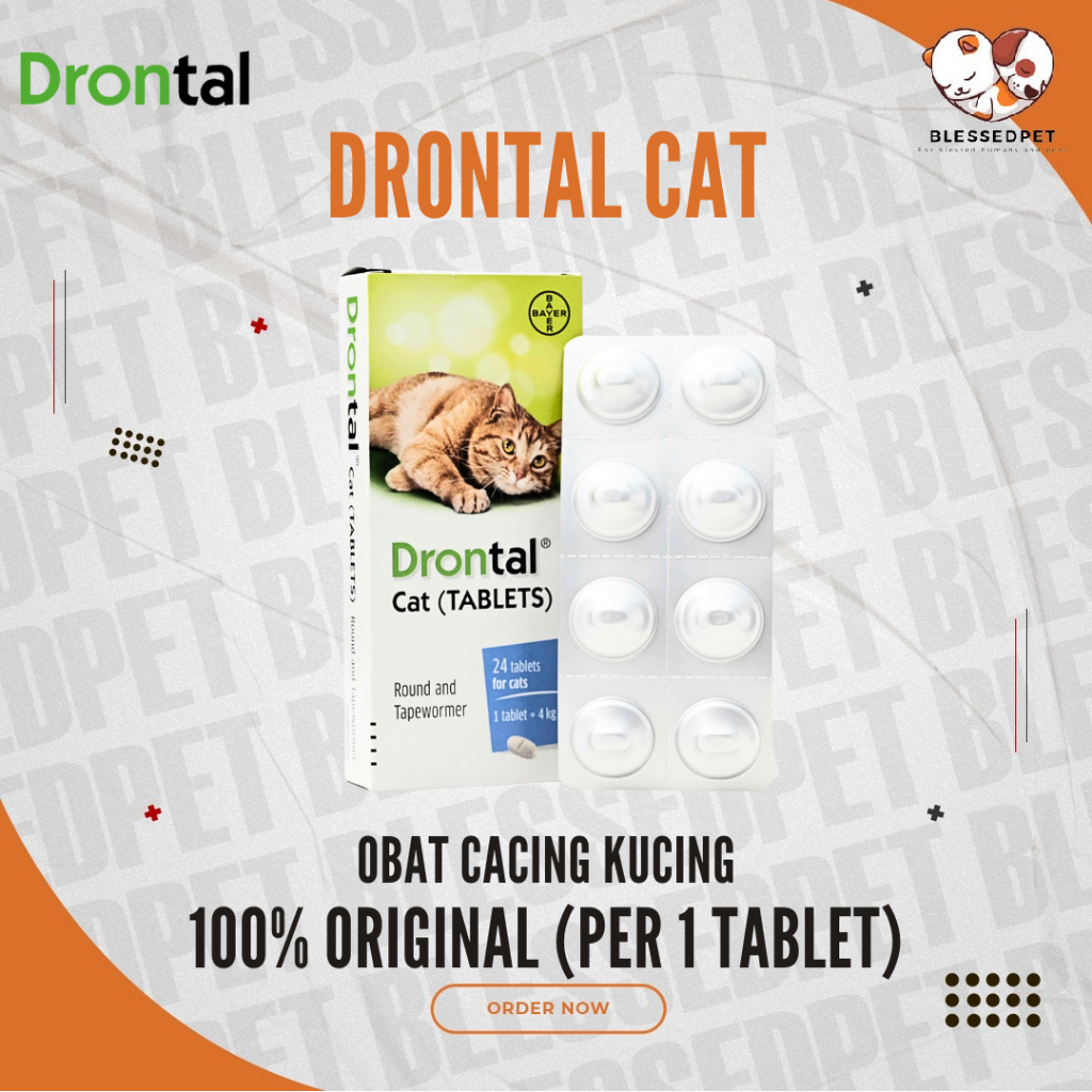 Jual DRONTAL Cat Obat Cacing Kucing 1 Tablet (100% Original) | Shopee ...