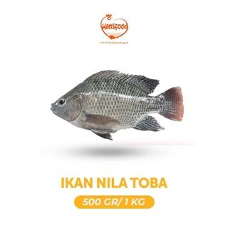 Jual Ikan Nila 1 Kg Terlengkap & Harga Terbaru Juni 2024 | Shopee Indonesia