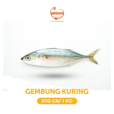 Jual Ikan Gembung Kuring | Shopee Indonesia