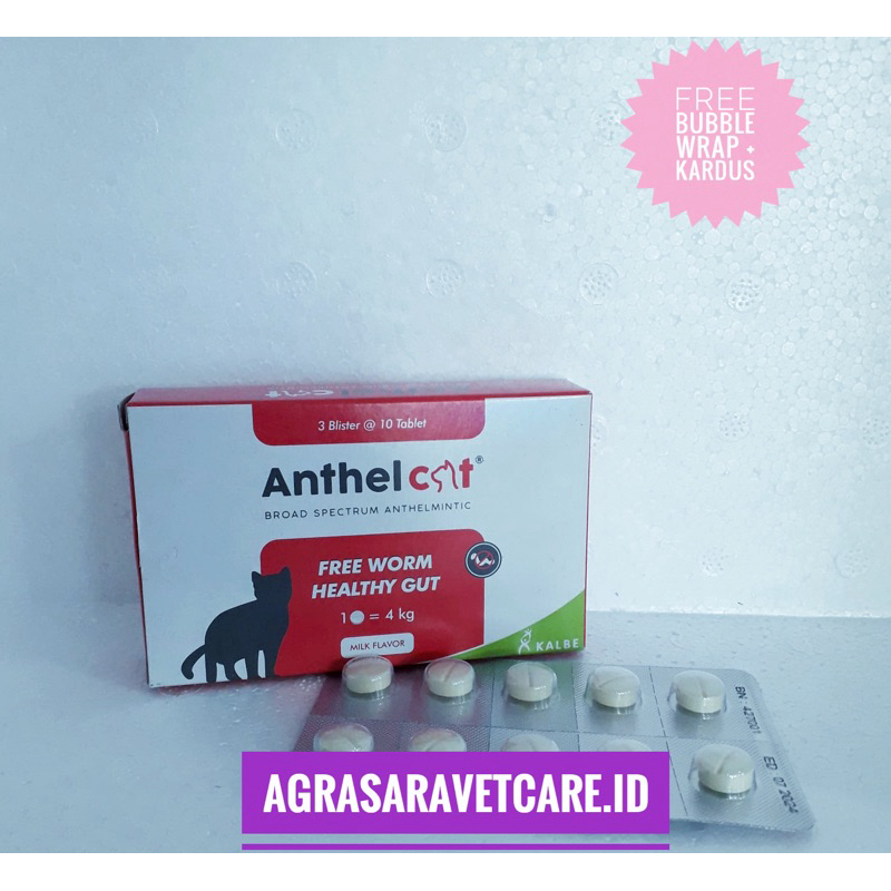 Jual Anthel cat 1 TABLET- Obat Cacing Kucing LIKE DRONTAL CAT | Shopee ...