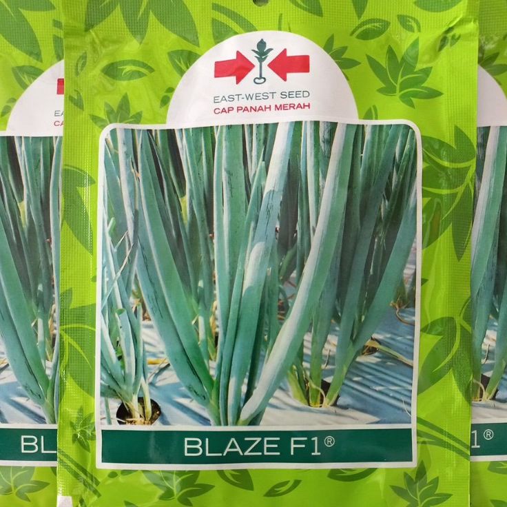Jual Barang baru Benih Daun Bawang BLAZE F1 1 Gram Cap Panah Merah ...