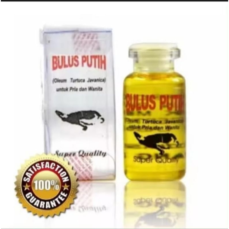 Jual Minyak Bulus Putih Asli dan Murah | Shopee Indonesia