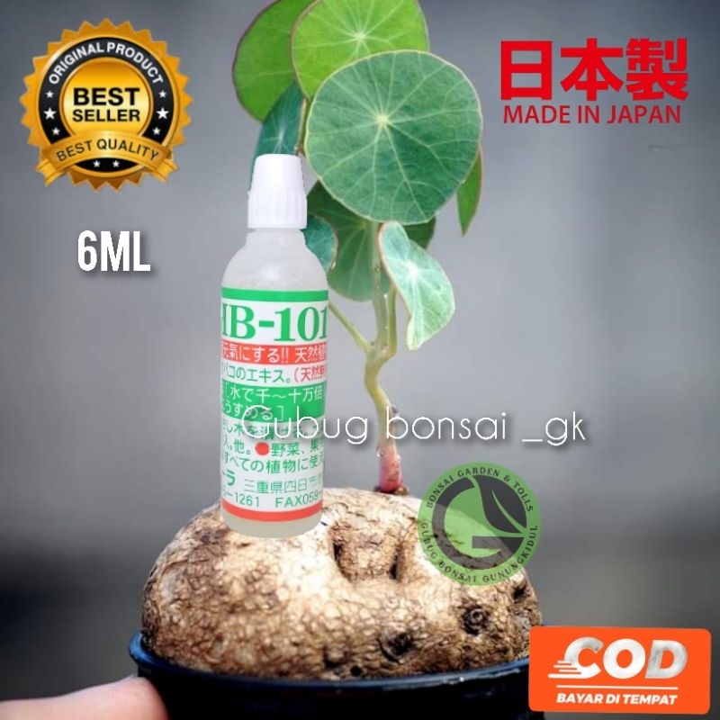 Jual HB101 natural plants vitalizer Made in Japan vitamin b1 nutrisi ...