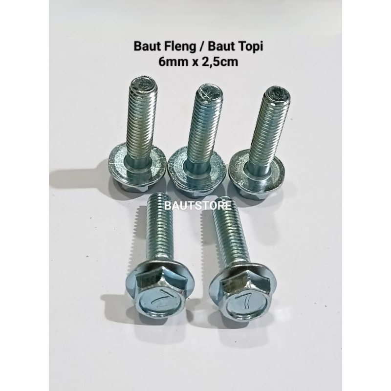 Jual Baut Topi/Baut Flange Bolt 10/M6 x 2,5cm ( Paket 5pcs) | Shopee ...