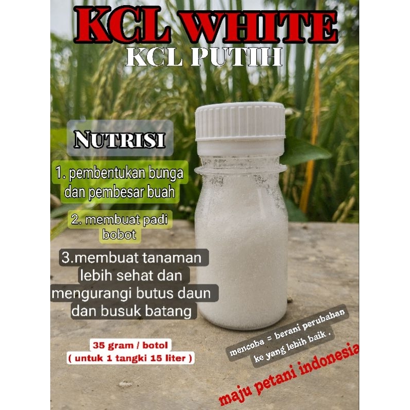 Jual kalium nutrisi buah dan umbi / KCL putih pembesar buah dan umbi ...