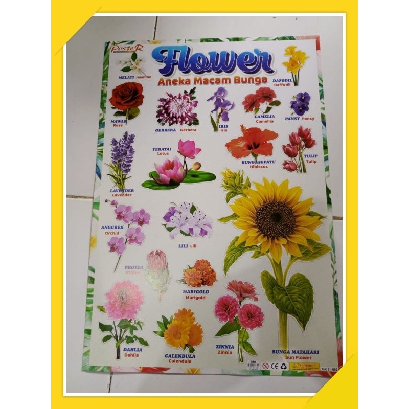 Jual Poster Aneka Macam Bunga | Shopee Indonesia
