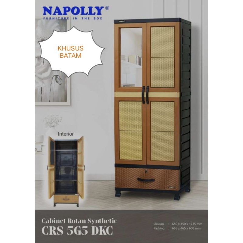 Jual NAPOLLY LEMARI PAKAIAN BAJU 2 PINTU BAHAN PLASTIK CRS 5G5 DKG ...
