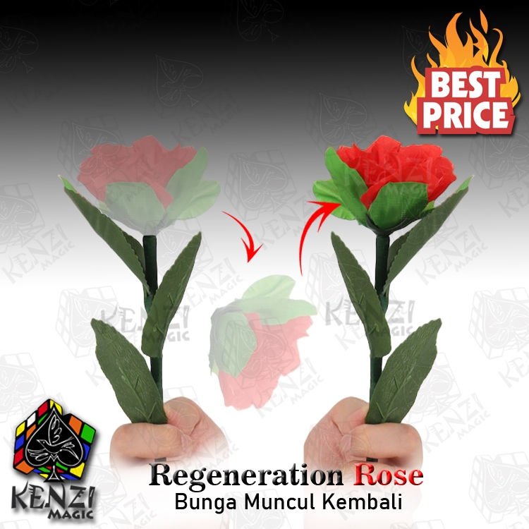 Jual Alat Sulap Regeneration Rose Bunga Tumbuh Kembali Rose Magic ...