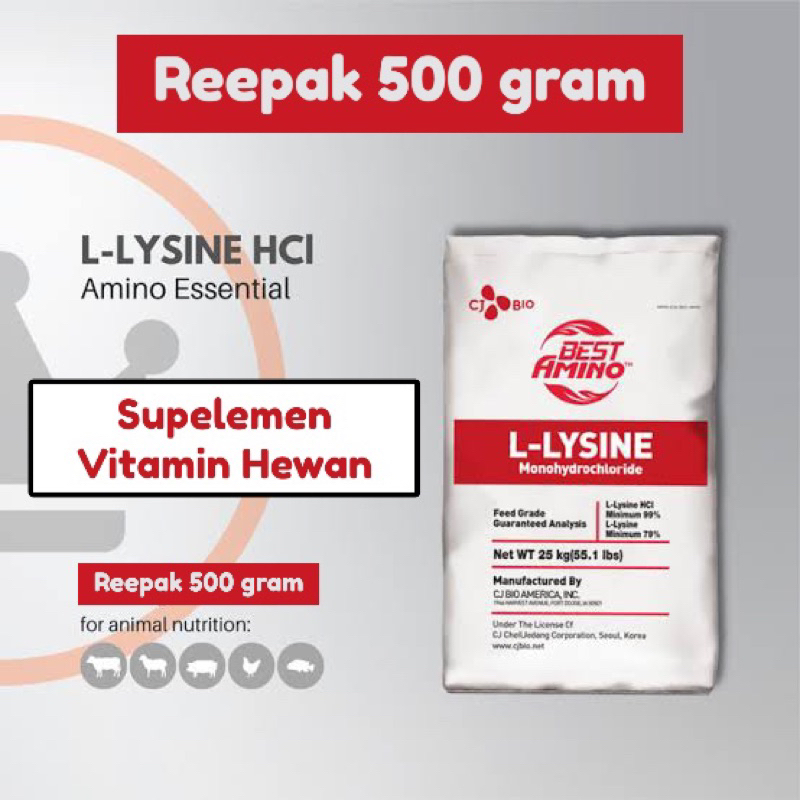 Jual L-LYSINE HCL 500gram MEIHUA asam amino - Suplemen Vitamin ...