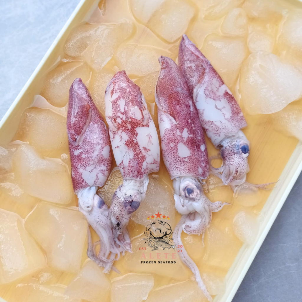 Jual Cumi Cumi Segar Ukuran Medium 1kg / Fresh Frozen Vacum Pack ...