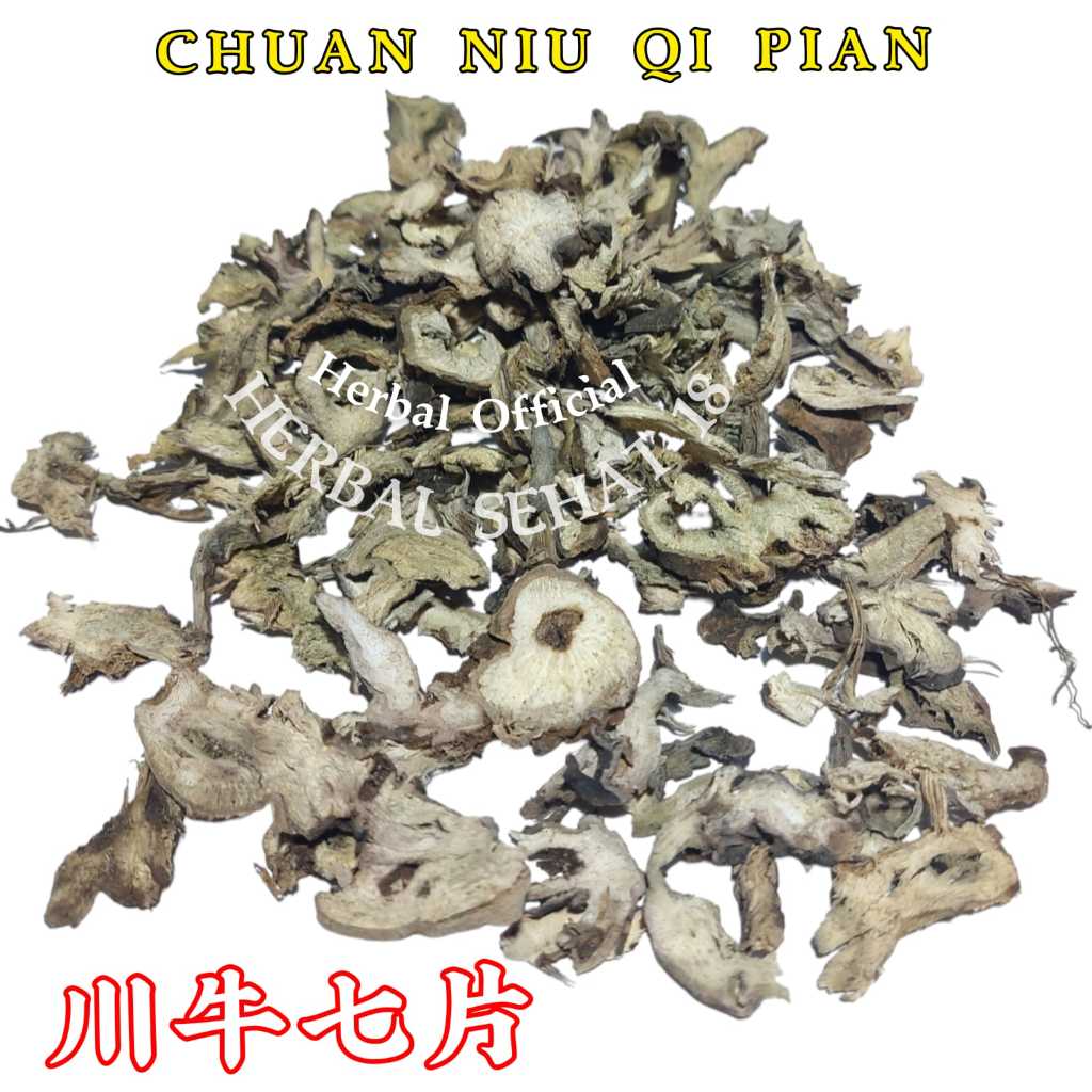Jual Chuan Niu Qi Niu Xi 250-500-600-1000 gr - Niuxi Niuqi Radix ...