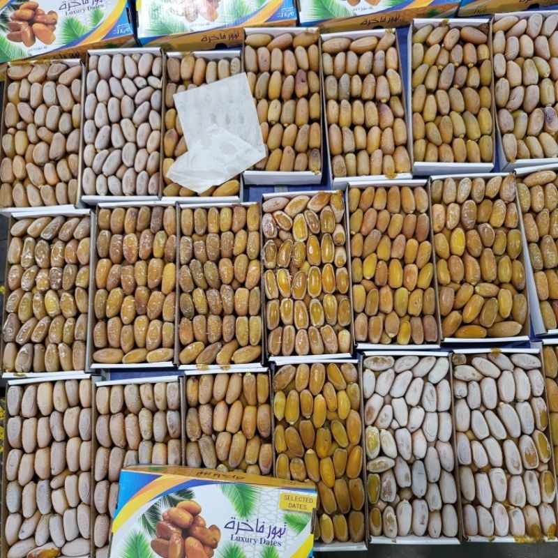 Jual Buah kurma ruthob libya 1kg frozen ternikmat fresh original matang ...
