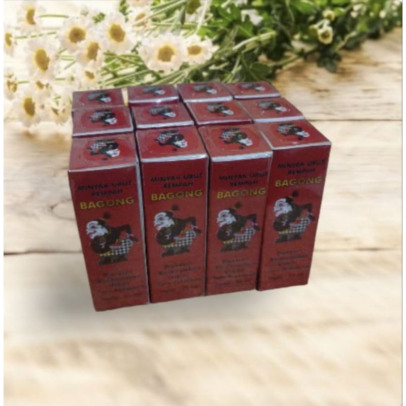 Jual Minyak Rempah Bagong (paket hemat isi 12 botol) | Shopee Indonesia Jual Minyak Rempah Bagong (paket hemat isi 12 botol) | Shopee Indonesia