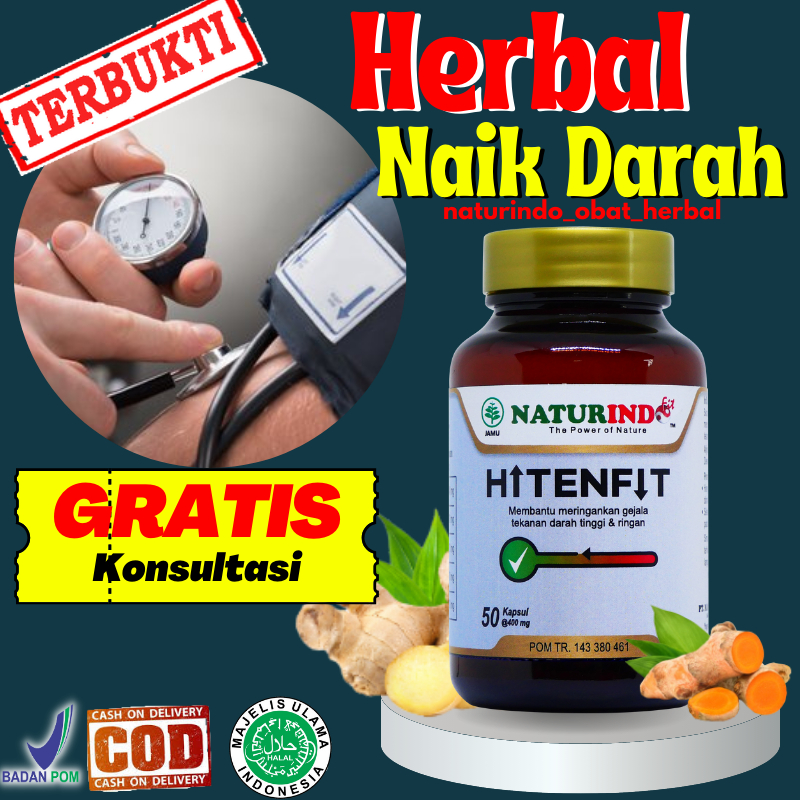 Jual Obat Herbal Tekanan Darah Tinggi Hipertensi Hypertensi Sakit ...