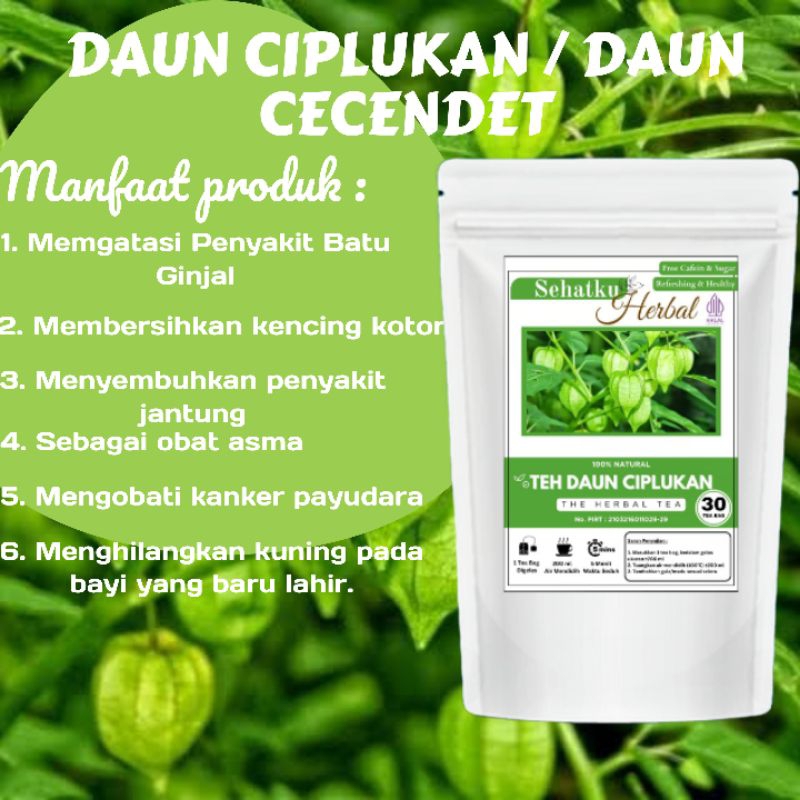 Jual Teh Daun Ciplukan/Teh Daun Cecendet teh Diabetesisi 30 tea bag ...