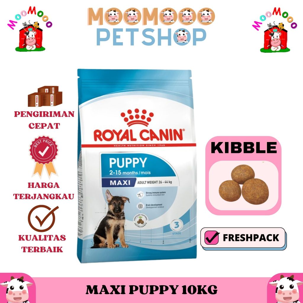 Jual Royal Canin Maxi Puppy 10Kg - Makanan Anjing / KHUSUS GOJEK ...