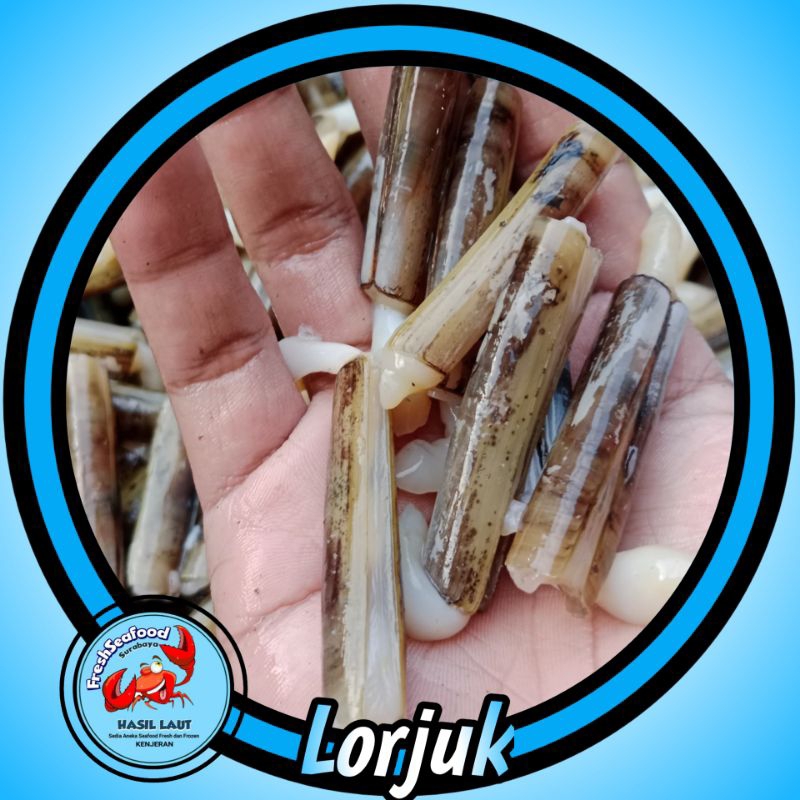 Jual KERANG BAMBU / LORJUK 1kg | Shopee Indonesia