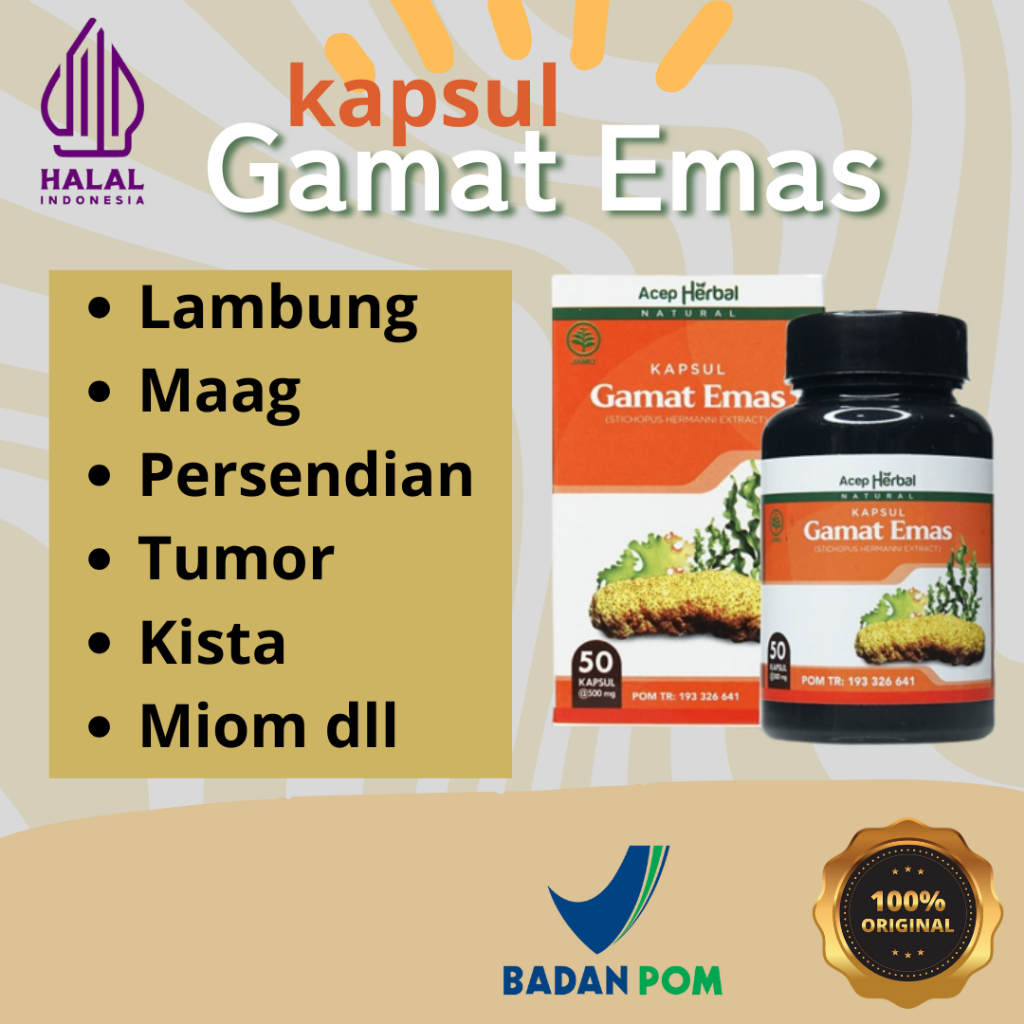 Jual Gamat Emas Kapsul isi 50 Original Produk Ekstrak Teripang Emas ...