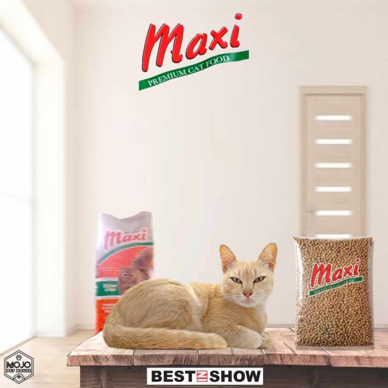 Jual makanan kucing maxi cat food 1kg MAXI Cat Food Makanan Kucing ...