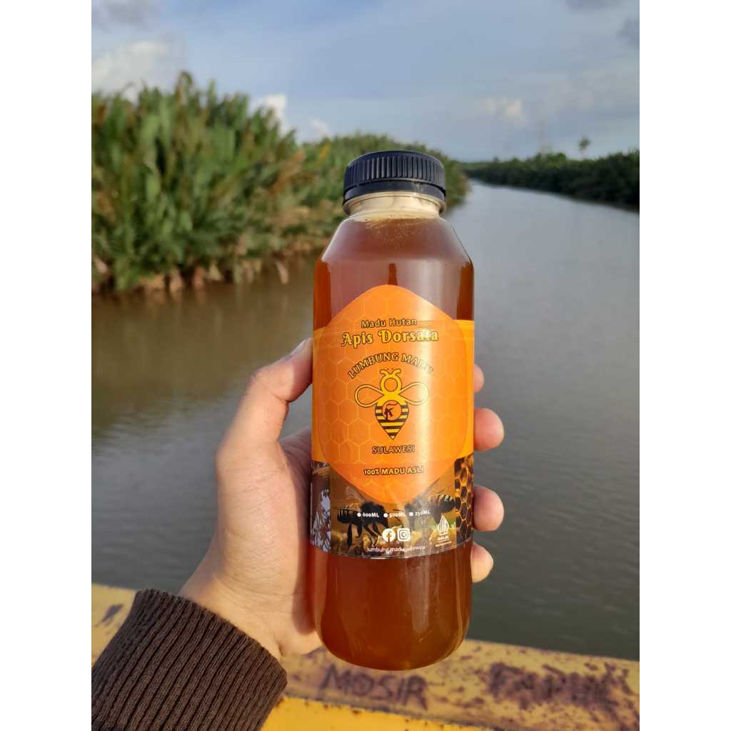 Jual Madu Apis Dorsata | Madu Hutan Lebah Liar 500ML | Shopee Indonesia