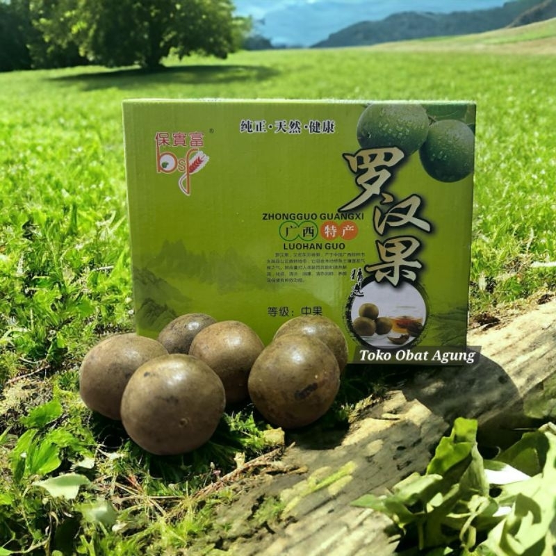 Jual Buah Luohan Guo (Zhongguo Guangxi Luohan Guo). Pereda Panas Dalam ...