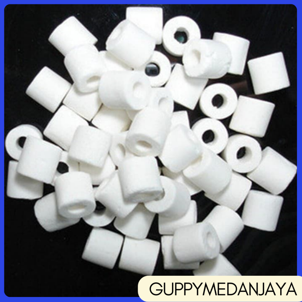 Jual BIORING / BIO RING / BIO CERAMIC / BIO KERAMIK MEDIA FILTER MEDIA ...