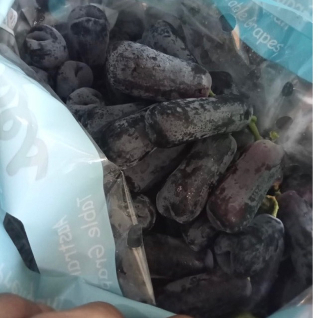 Jual BUAH ANGGUR BLACK SHAPIRE ANGGUR MOONDROP ANGGUR JARI GROSIR 1 DUS ...