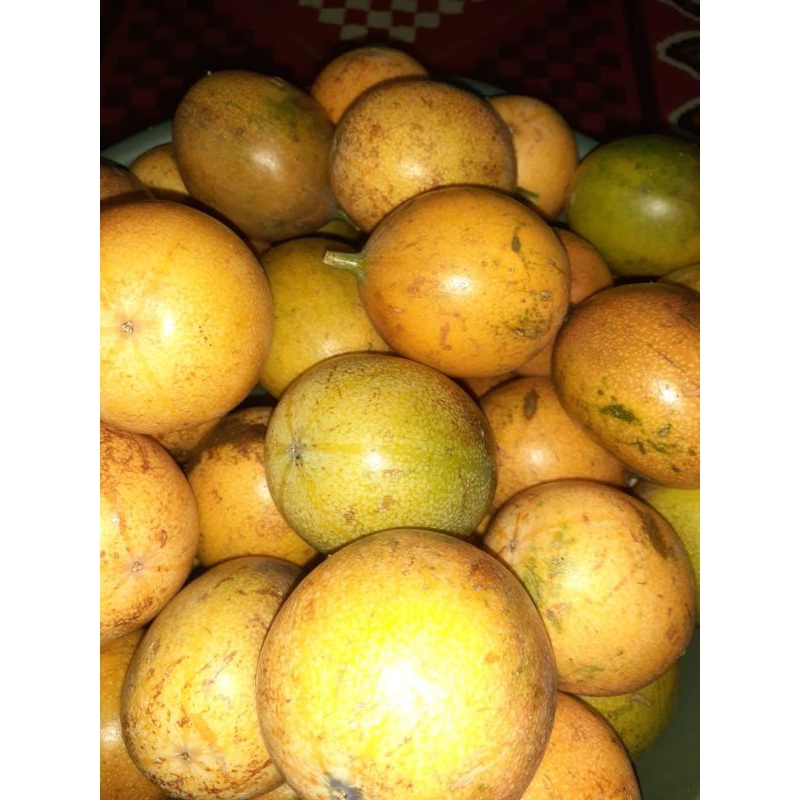 Jual Markisa konyal / markisa madu 1/2 kg | Shopee Indonesia
