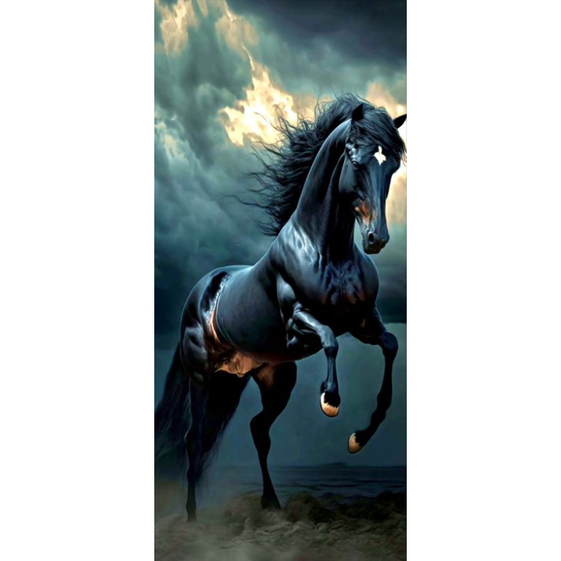 Jual poster cetak tema kuda 010 ukuran ( 70x100cm, 100x150cm ) tanpa ...