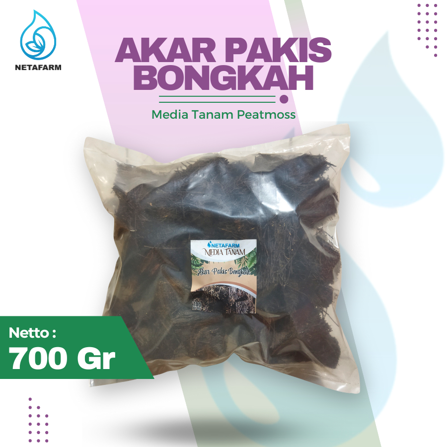 Jual Media Tanam Akar Pakis Bongkah - kemasan 700gr | Shopee Indonesia