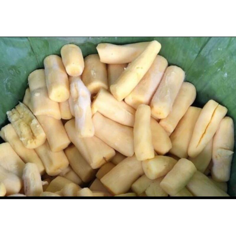 Jual TAPE SINGKONG KUNING MENTEGA 1000 gram plus besek | Shopee Indonesia