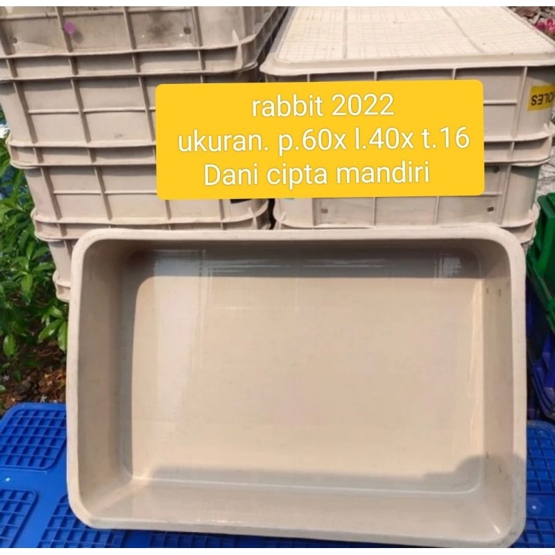 Jual box container rabbit type 2022, bok plastik, bok rapat serbaguna ...